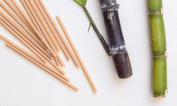 Home - Sugarcane Straw