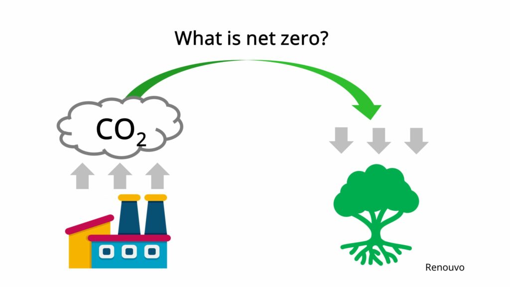 What is net zero? How does carbon reduction benefit corporations? - Renouvo