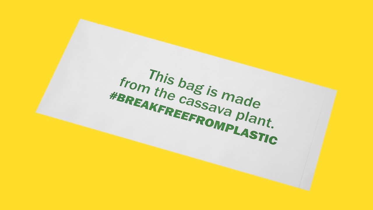 Bagasse Products: Eco-Friendly Food Packaging and Cutlery - Renouvo