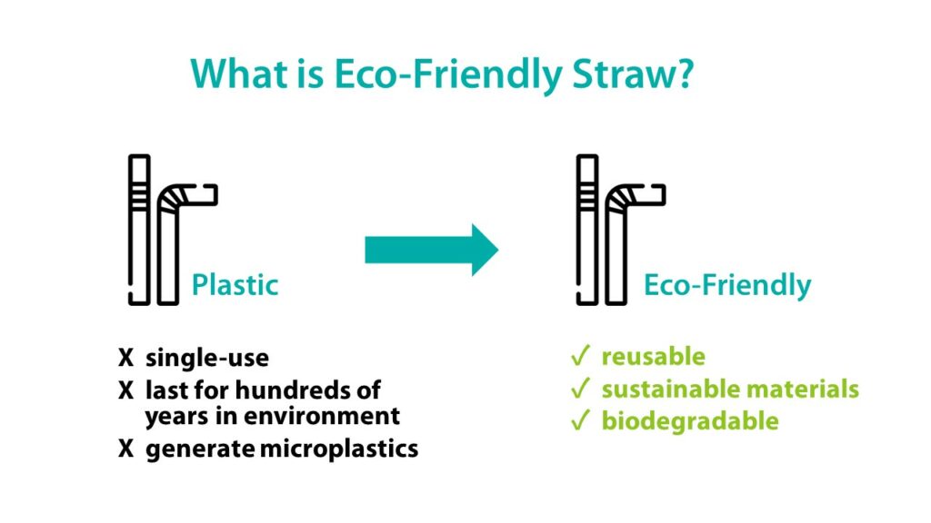 2023 Best Eco-Friendly Straws: Biodegradable and Compostable - Renouvo